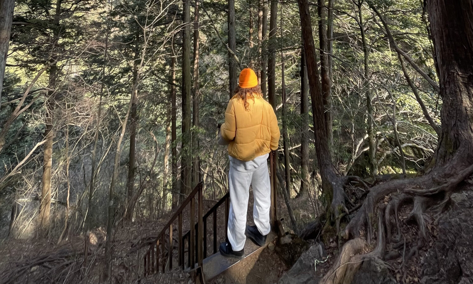 【体験レポート】御岳山にハイキング初心者が登ってみた！服装は簡単でOK - 1031log