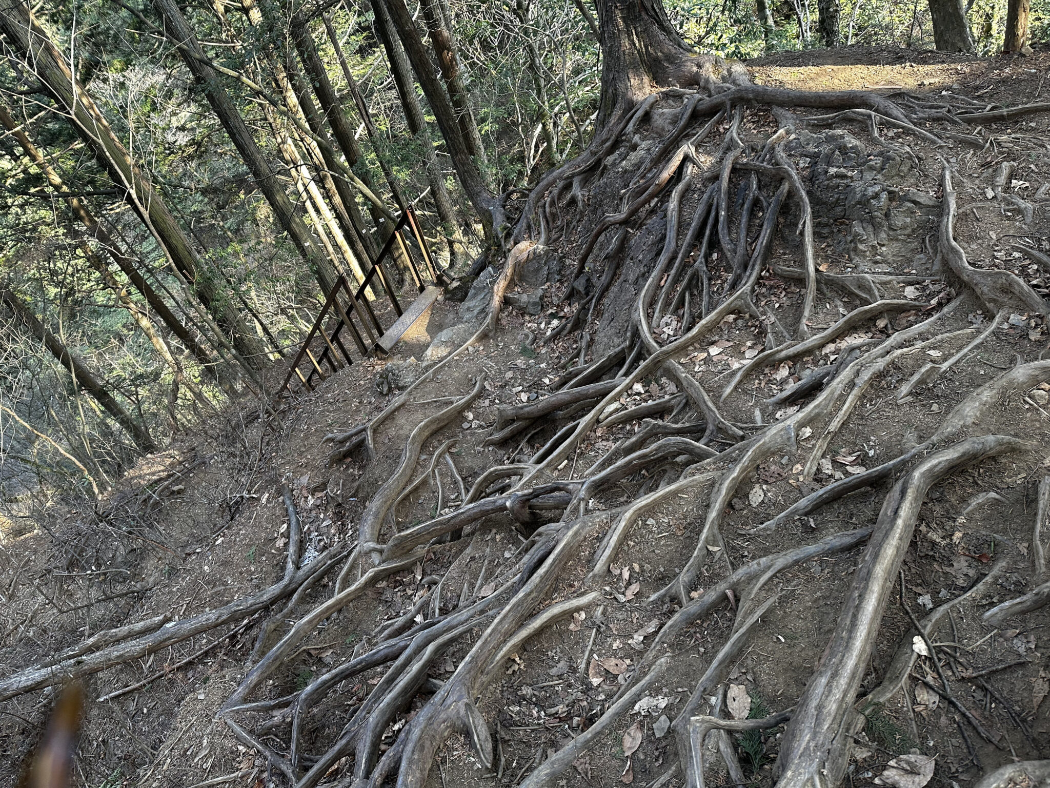 【体験レポート】御岳山にハイキング初心者が登ってみた！服装は簡単でOK - 1031log