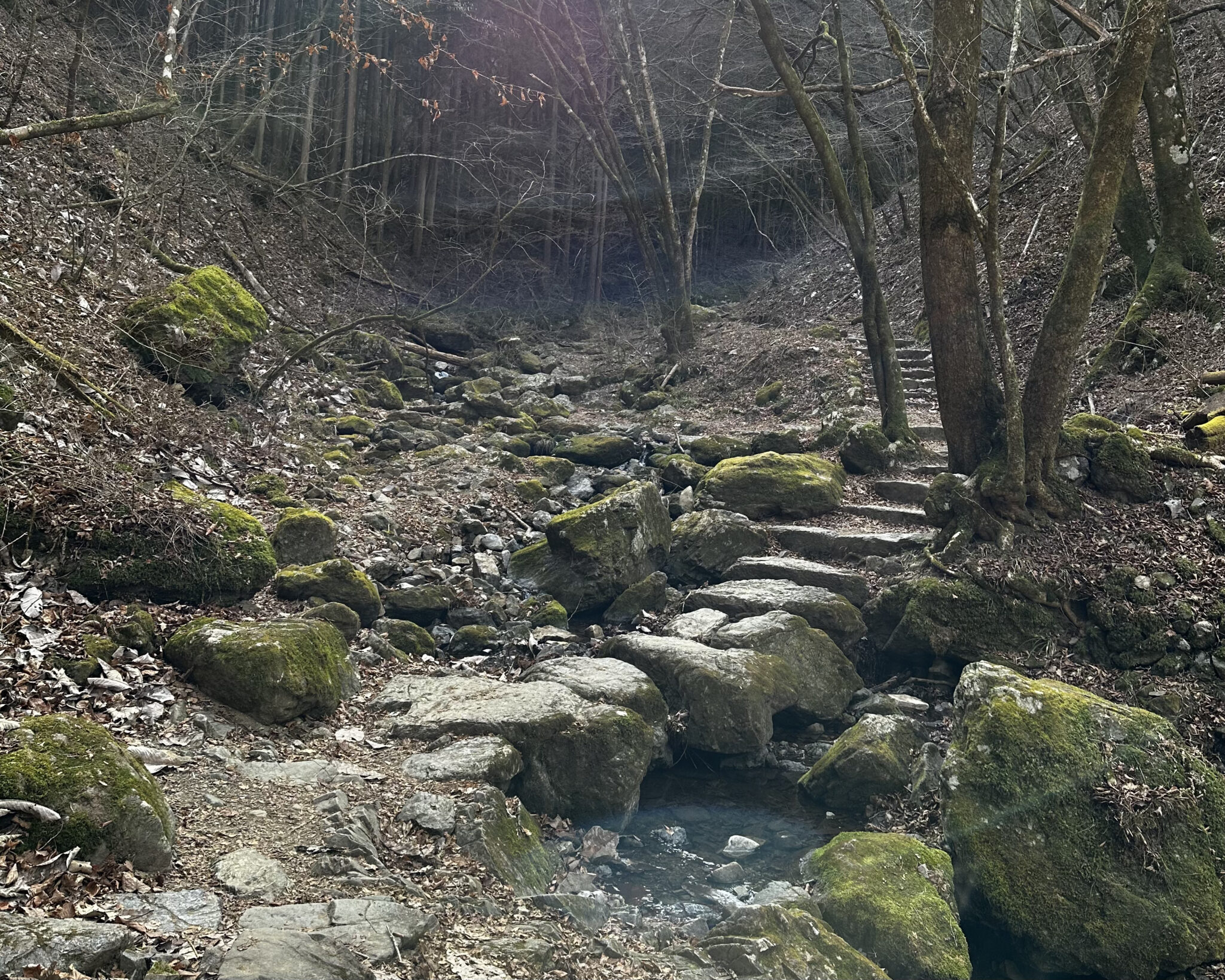 【体験レポート】御岳山にハイキング初心者が登ってみた！服装は簡単でOK - 1031log