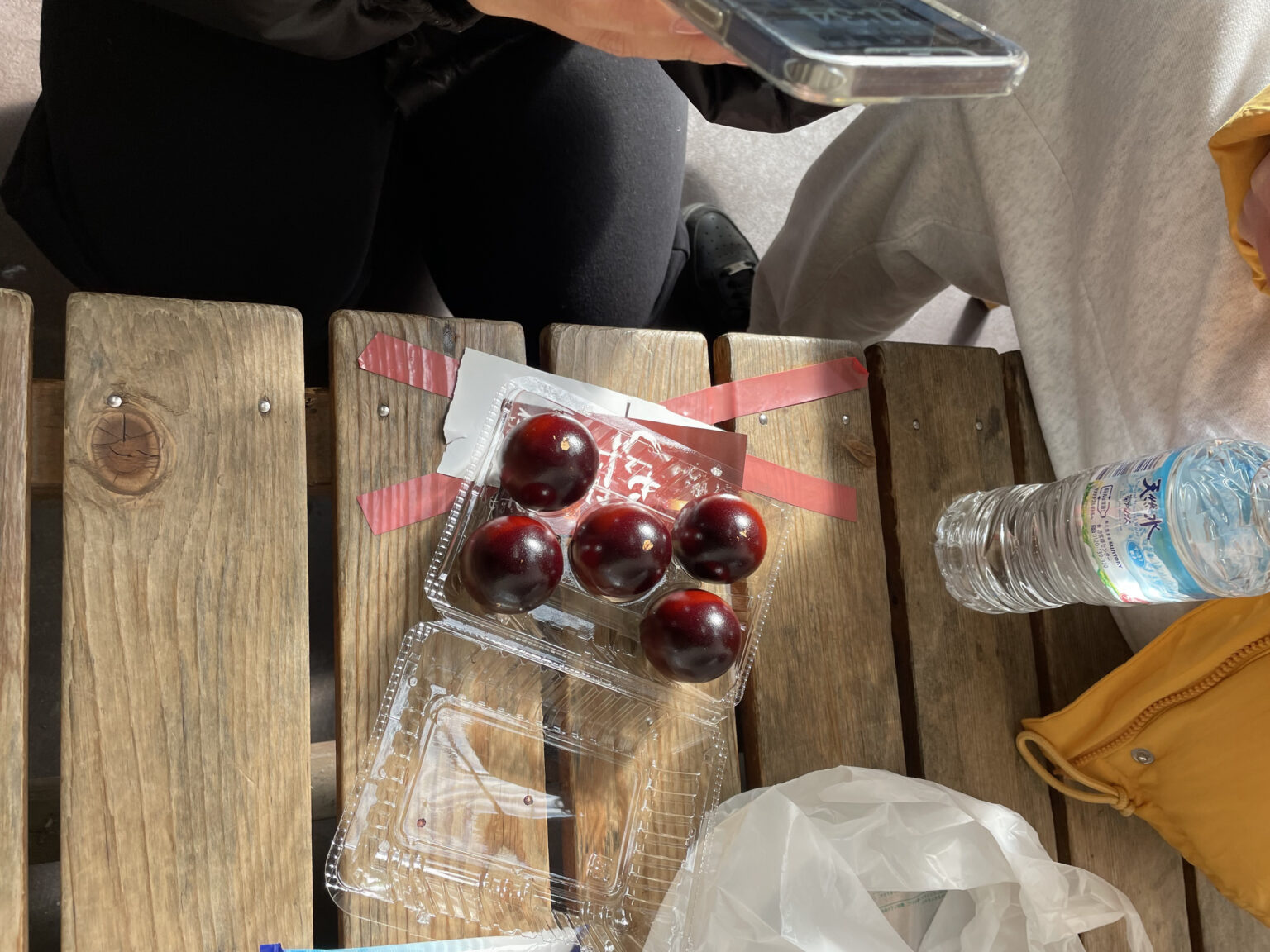 【体験レポート】御岳山にハイキング初心者が登ってみた！服装は簡単でOK - 1031log